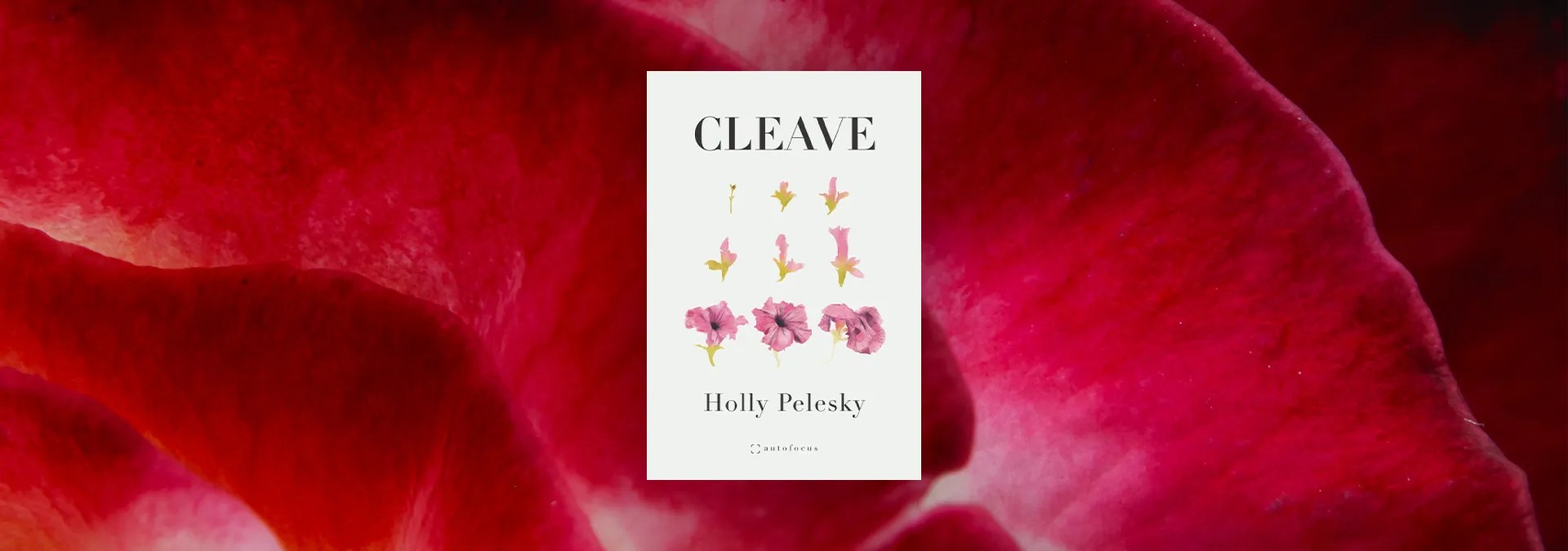 Press – holly pelesky