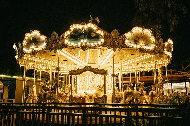 Publications – holly pelesky